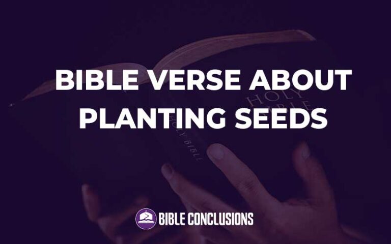30 powerful Bible Verse About Planting Seeds - bibleconclusions.com