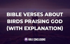 30 Powerful Best bible verses about birds (Full Commentary ...