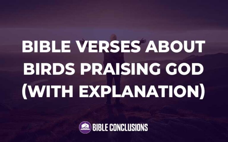30 Powerful Best bible verses about birds (Full Commentary ...