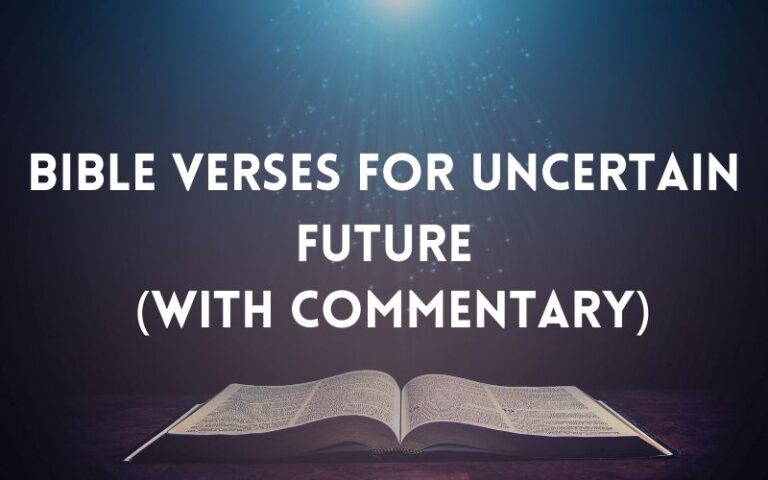 bibleconclusions.com