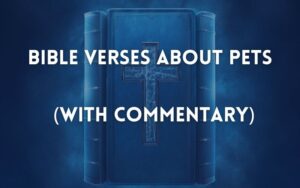 30 Powerful Best bible verses about pets (Full Commentary ...
