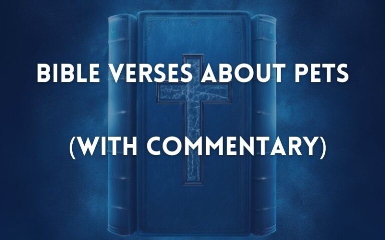 30 Powerful Best bible verses about pets (Full Commentary ...